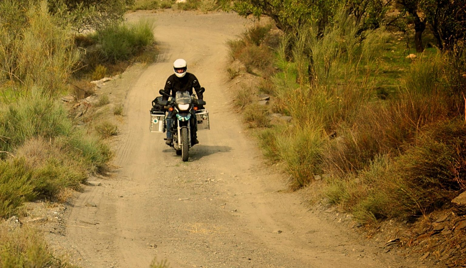 Affe auf bike – PEGASOREISE